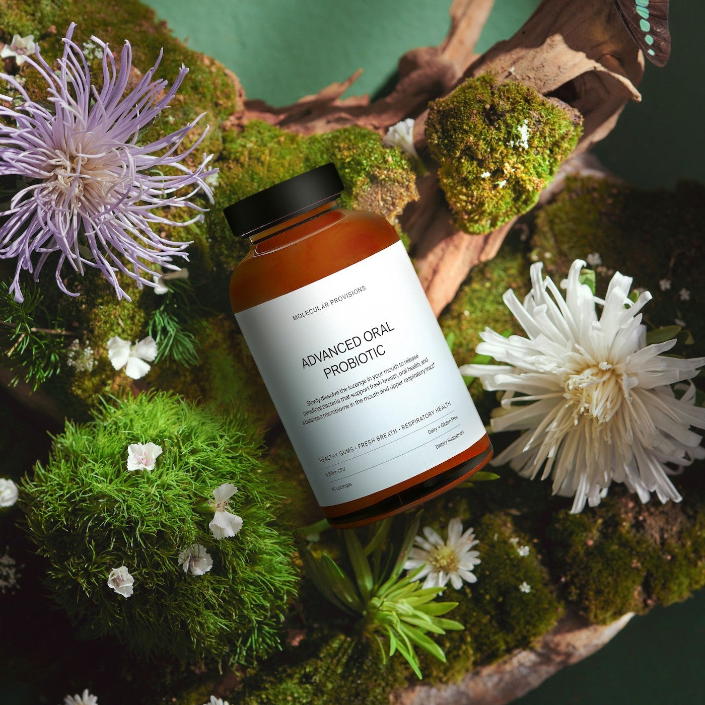 Advanced Oral Probiotics – Molecular Provisions